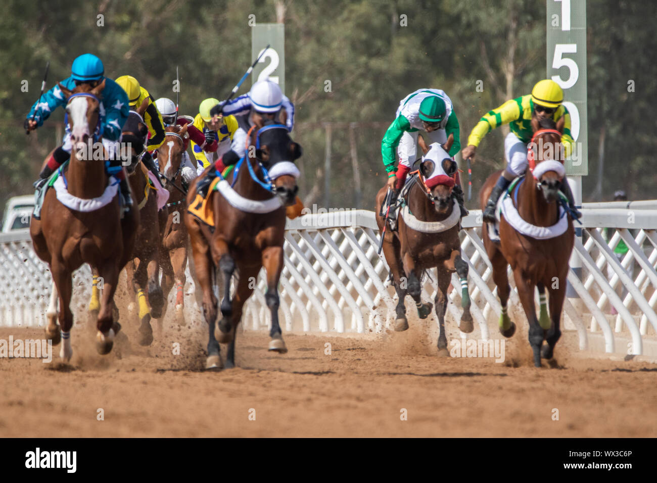 Horse Racing at King Khalid Racetrack, Taif, Saudi Arabia 28/06/2019 ...