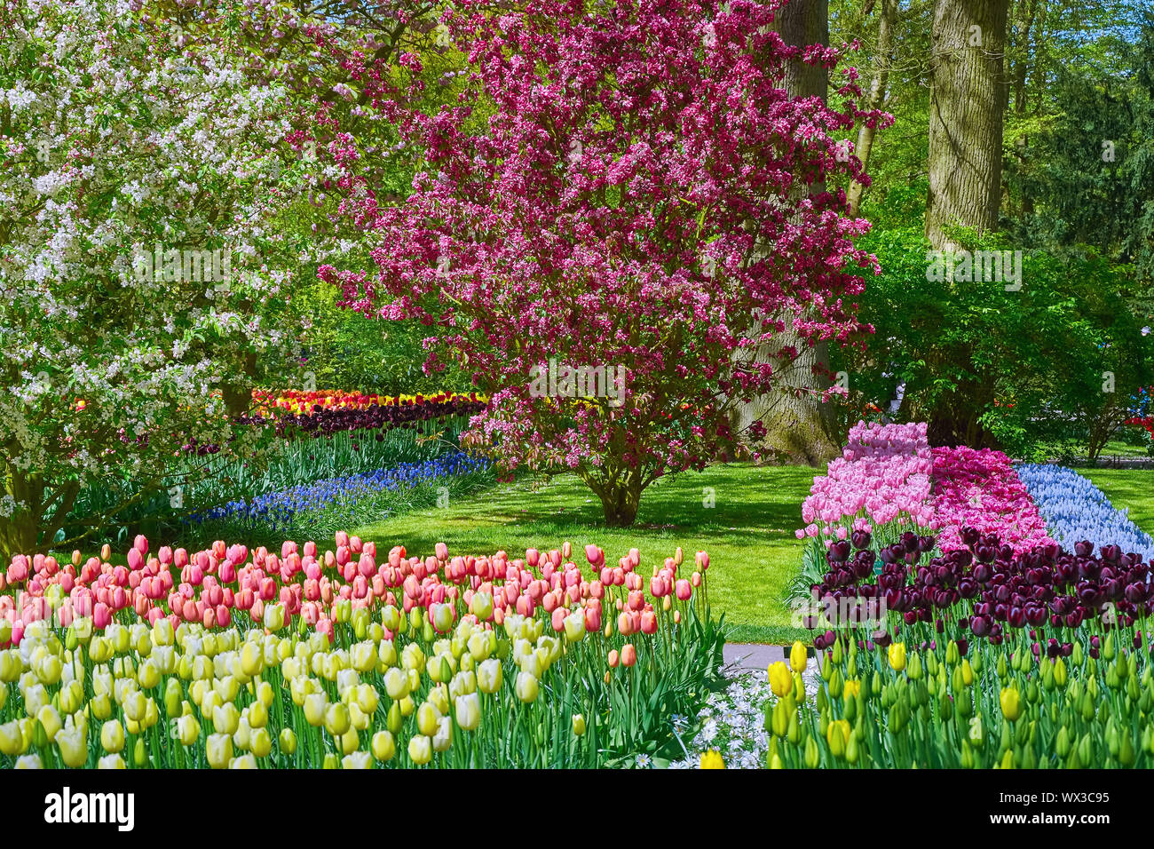 Spring in Netherlands Stock Photo - Alamy