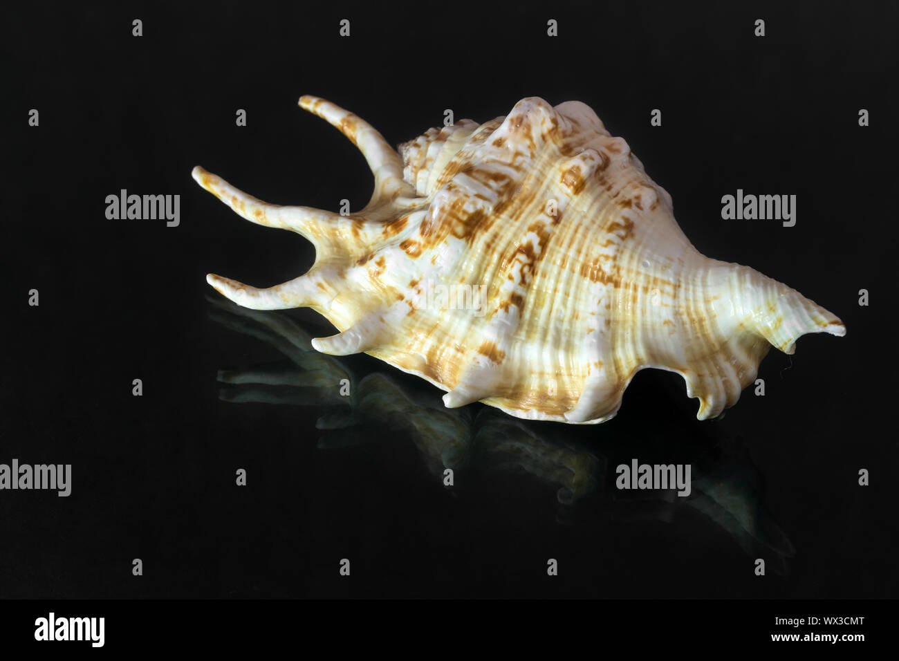 Sea horizontal hi-res stock photography and images - Alamy