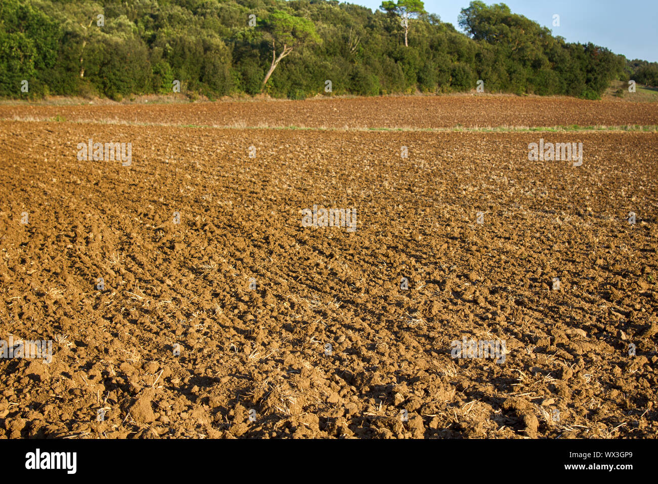 Winter planted crops hi-res stock photography and images - Alamy