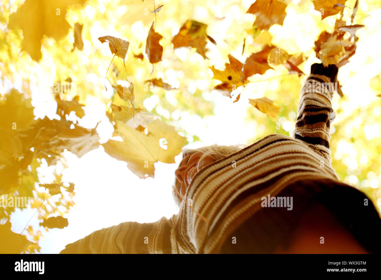 woman drop up leaves in autumn park Stock Photo - Alamy