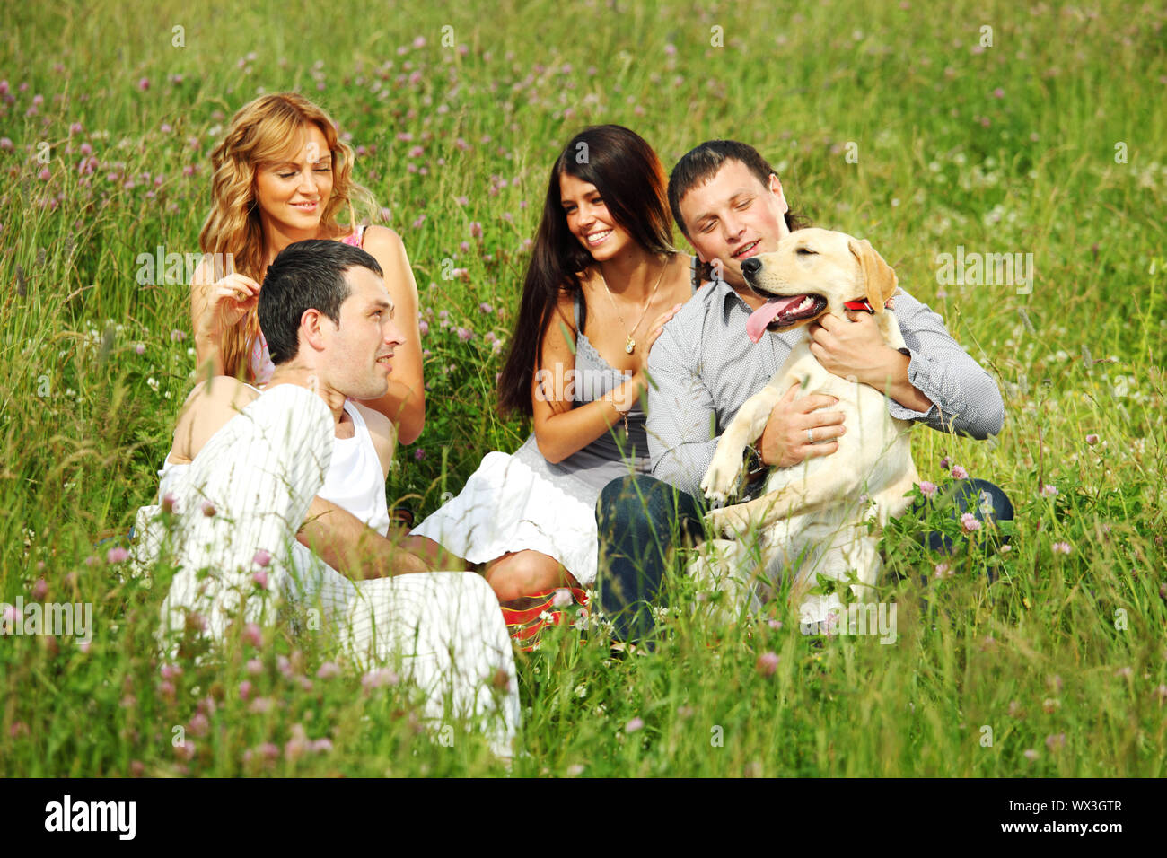 friends and dog in green grass field Stock Photo - Alamy