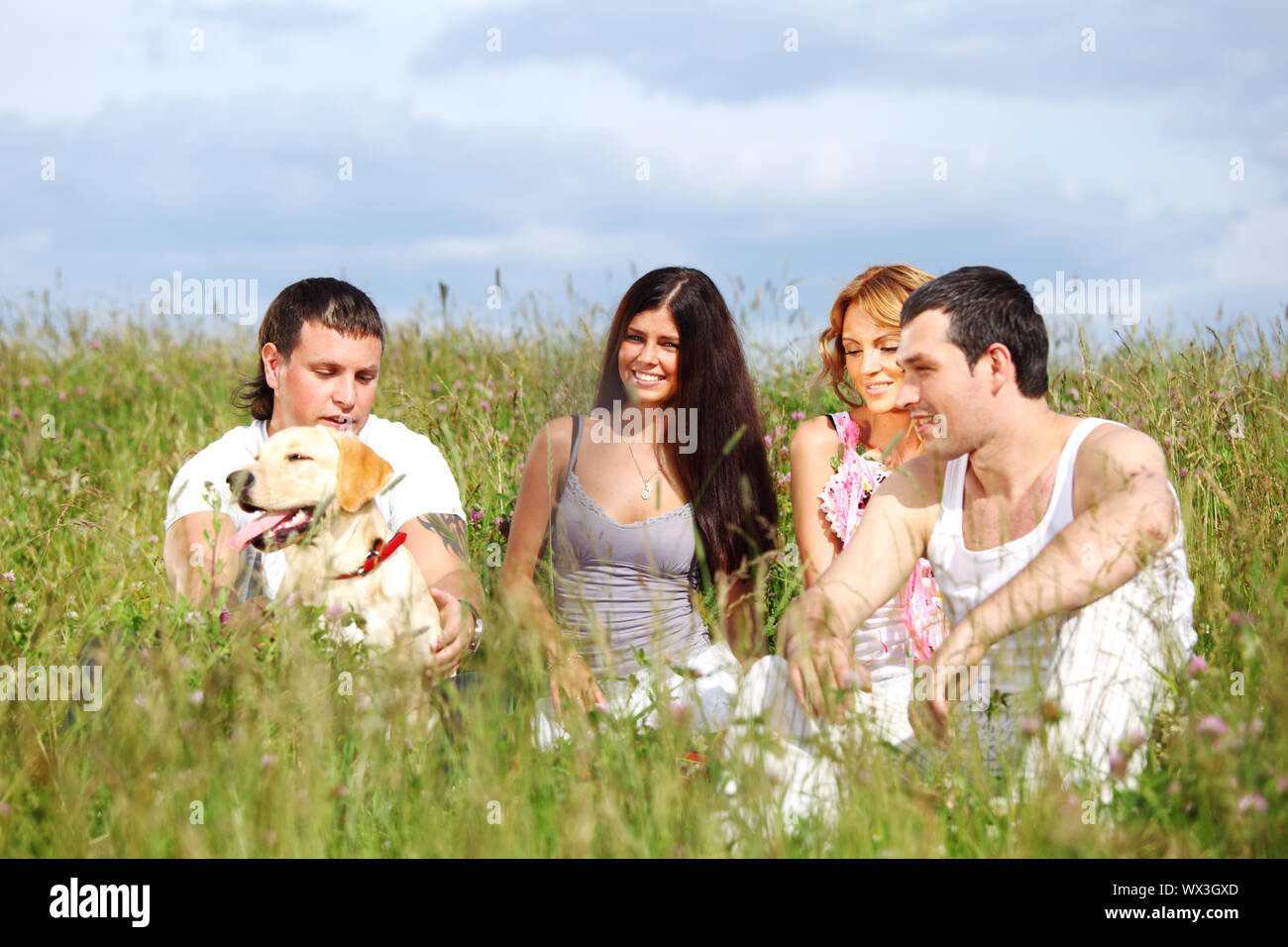 friends and dog in green grass field Stock Photo - Alamy