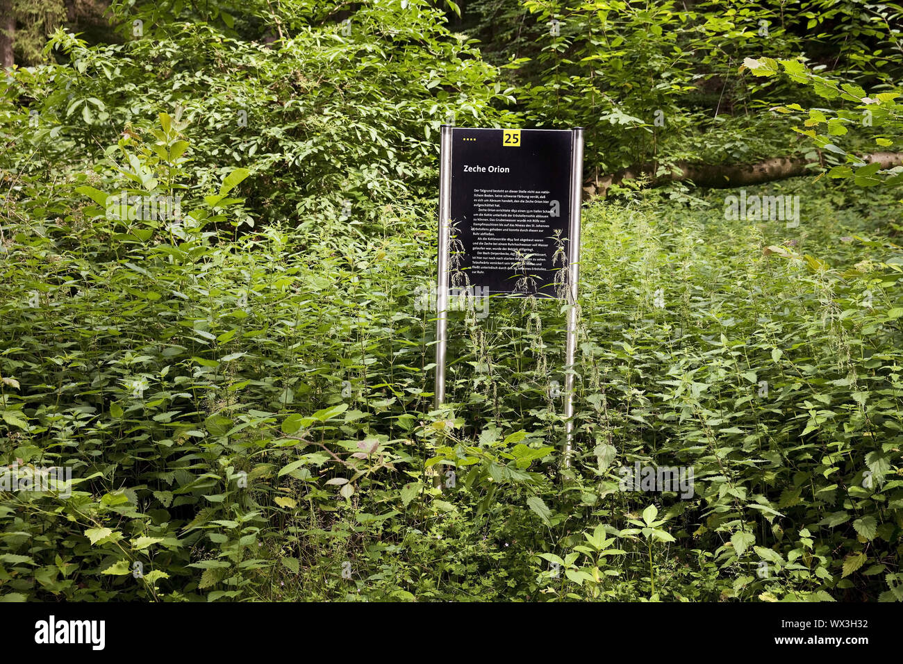 Geopark ruhrgebiet hi-res stock photography and images - Alamy