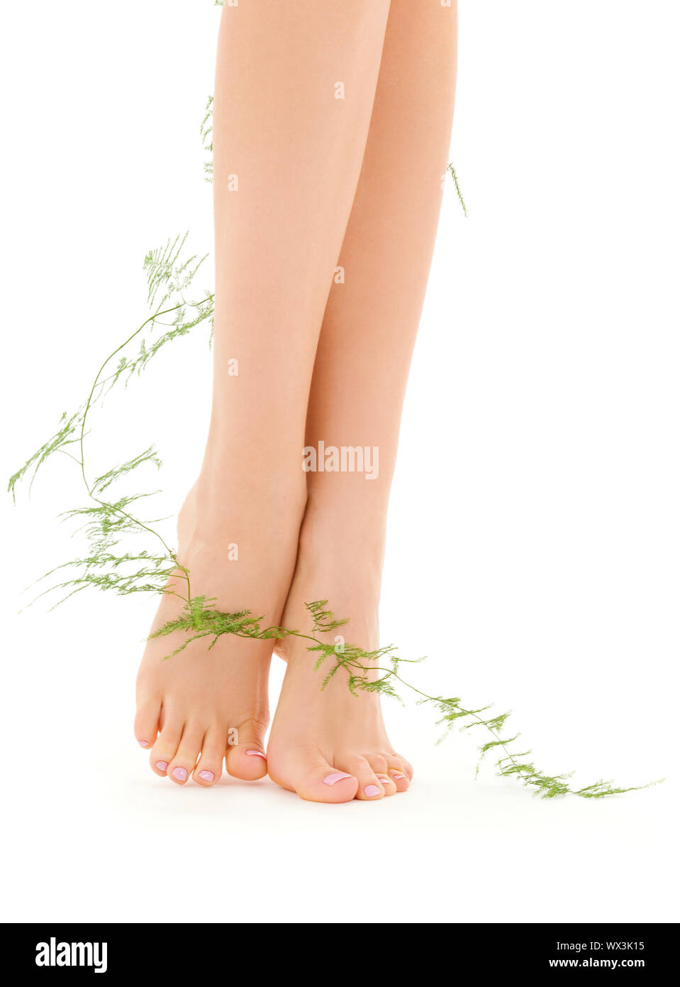 picture of female legs with green plant over white Stock Photo - Alamy