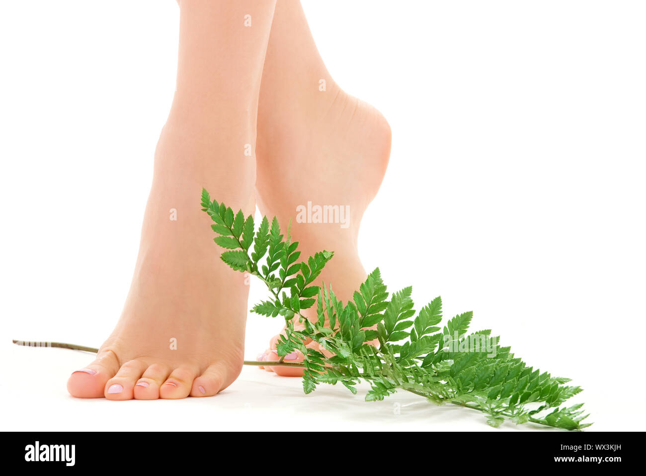picture of female feet with green leaf over white Stock Photo - Alamy