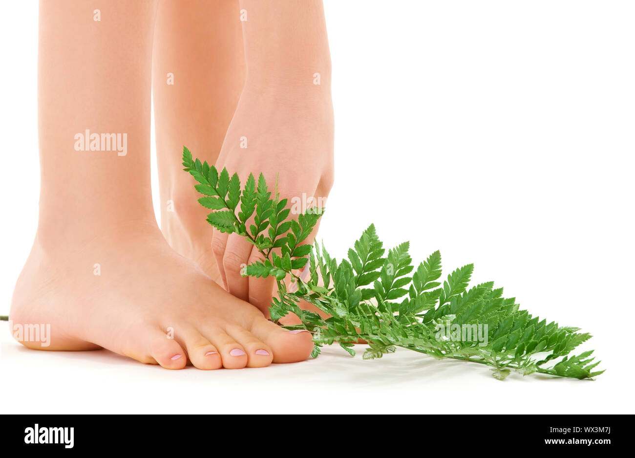 picture of female feet with green leaf over white Stock Photo - Alamy