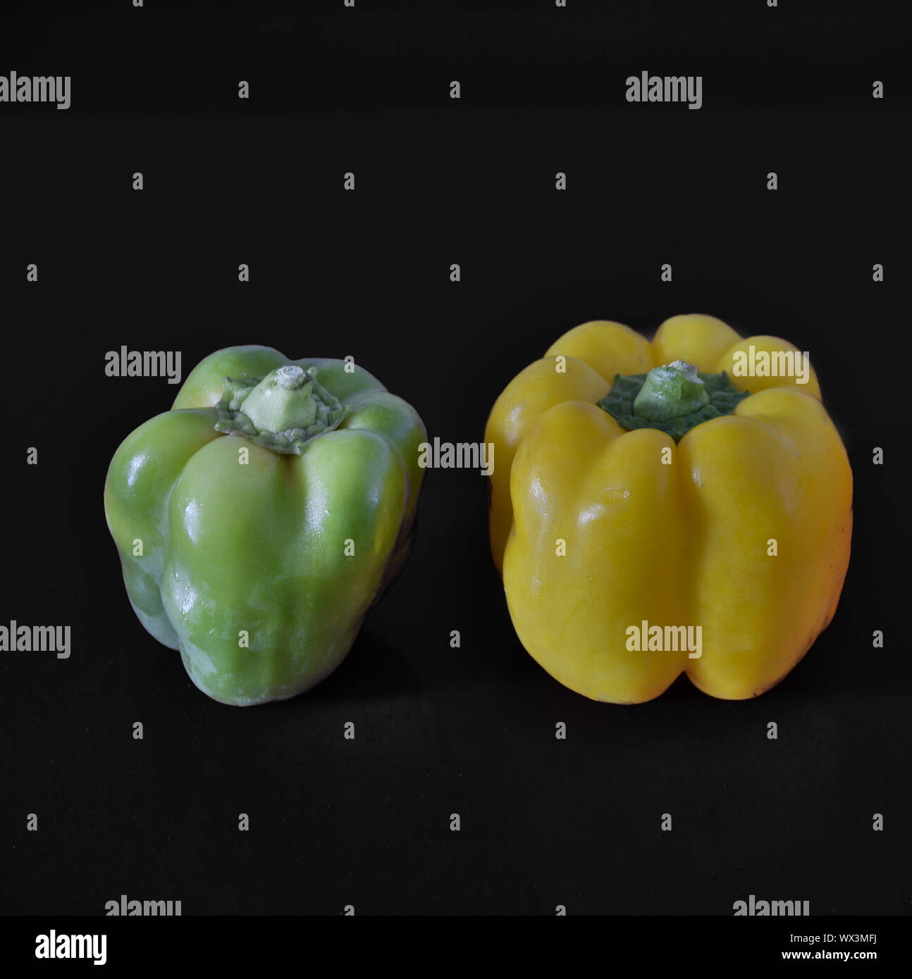 trust bird on the hand Stock Photo - Alamy