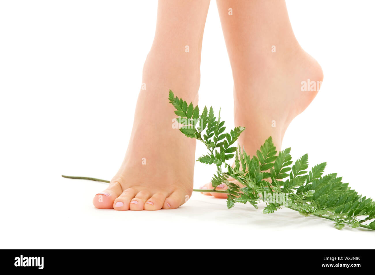 picture of female feet with green leaf over white Stock Photo - Alamy