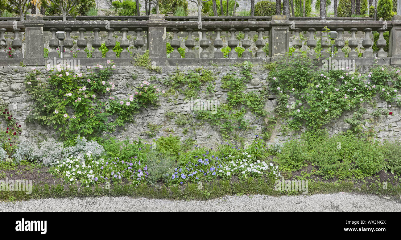 Wall with vegetation hi-res stock photography and images - Alamy