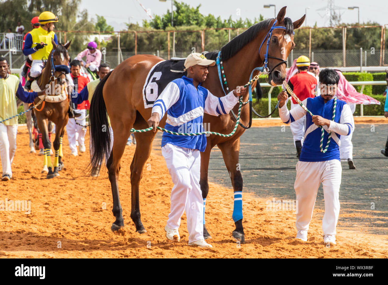 Horse Racing at King Khalid Racetrack, Taif, Saudi Arabia 28/06/2019 ...