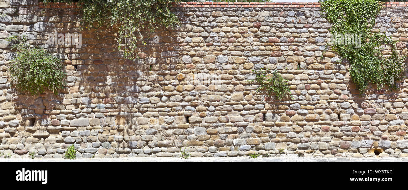 Rustic brick wall with vegetation, in poster size Stock Photo - Alamy