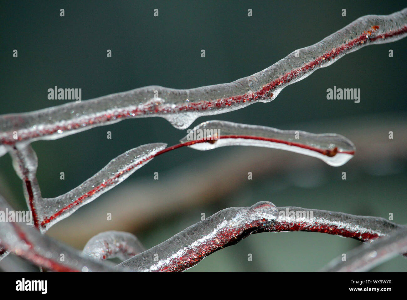 Rain with ice hi-res stock photography and images - Alamy