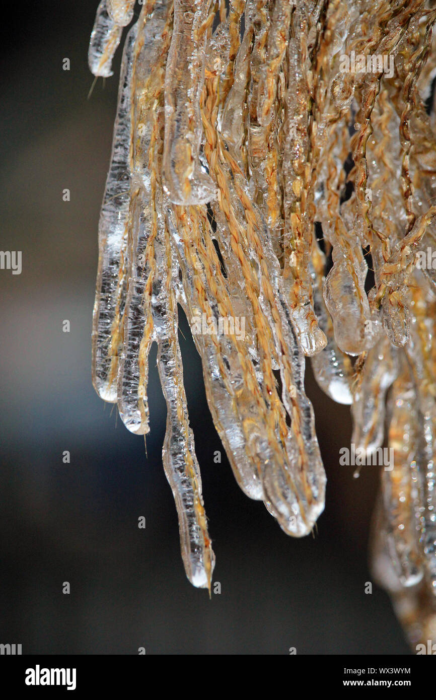 Ice rain hi-res stock photography and images - Alamy