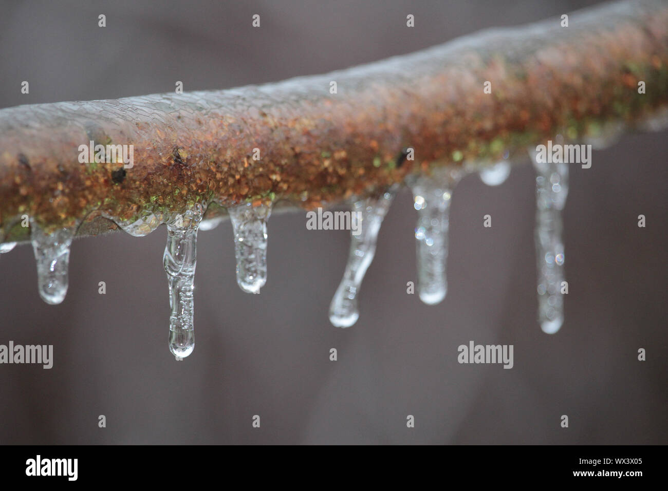 Rain frost hi-res stock photography and images - Alamy