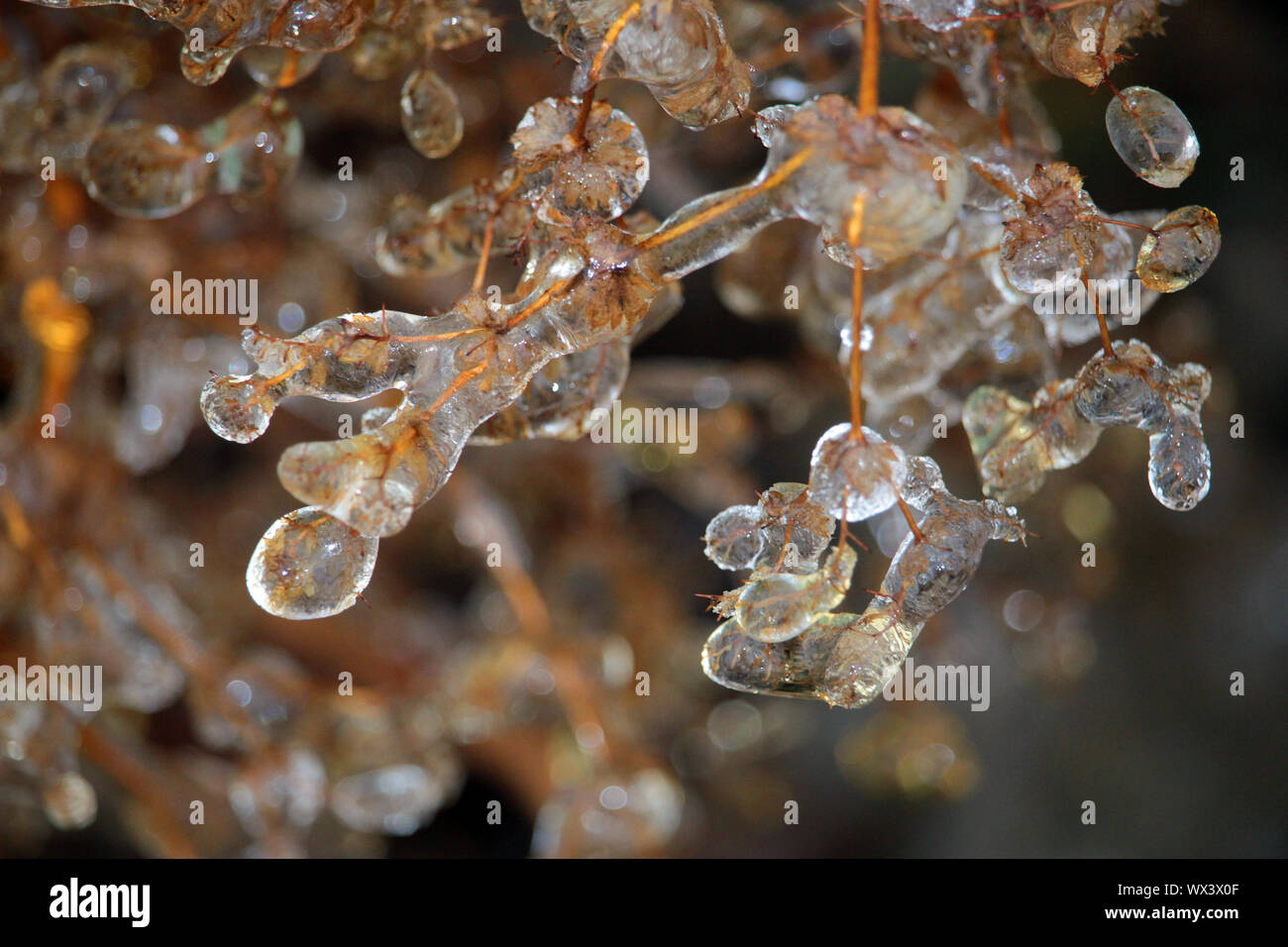 Rain ice hi-res stock photography and images - Alamy