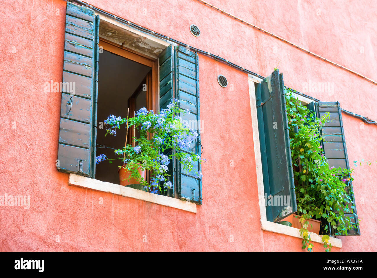 Windows with flowers in old house Stock Photo - Alamy