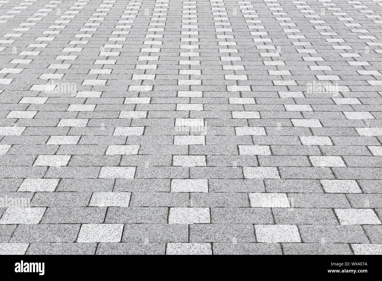 Moderne pflasterflies hi-res stock photography and images - Alamy