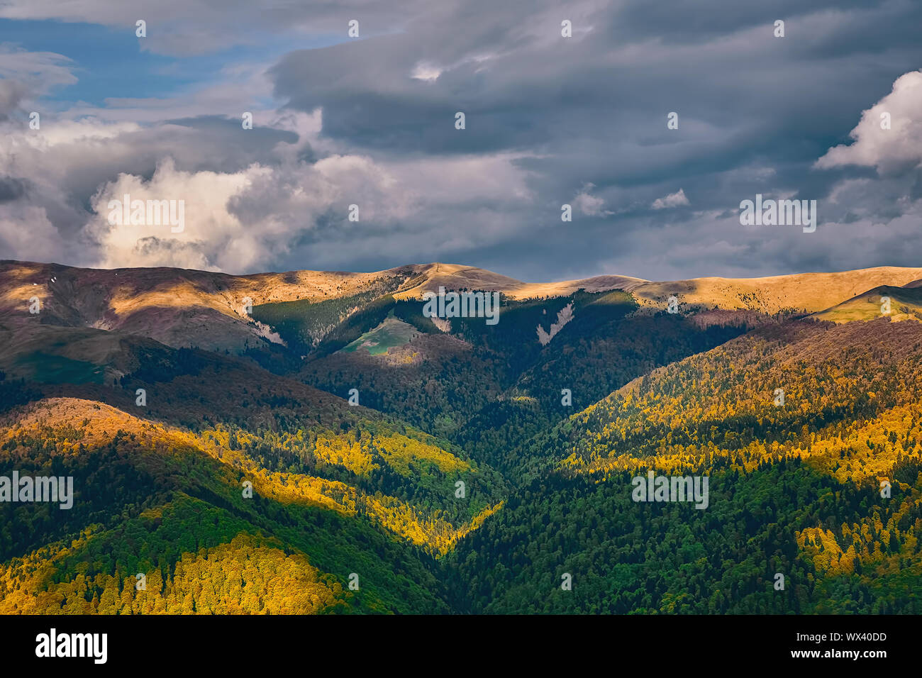 Mountain Flank High Resolution Stock Photography and Images - Alamy