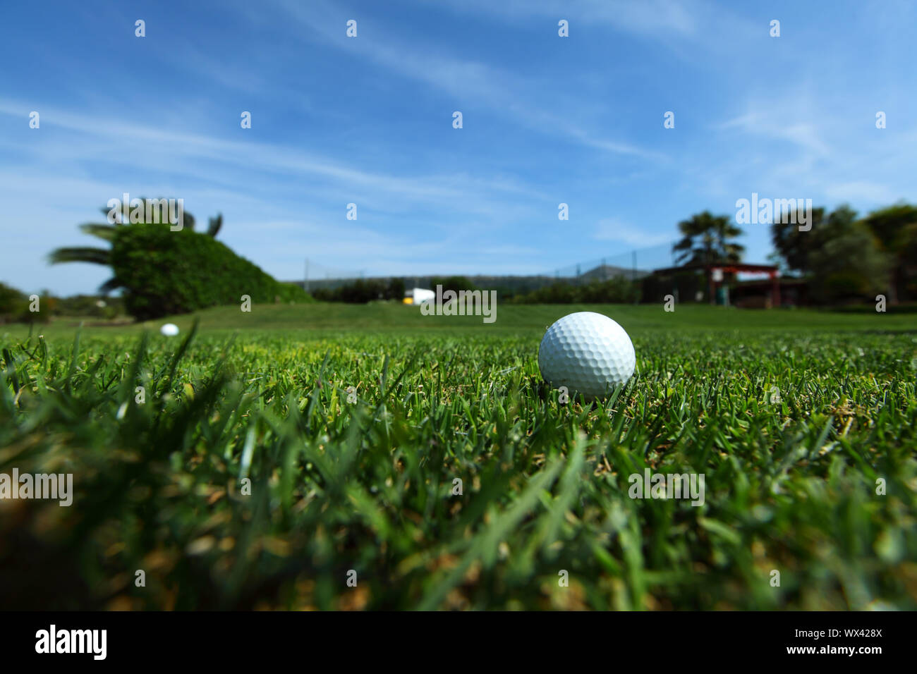 golf-ball on course Stock Photo - Alamy