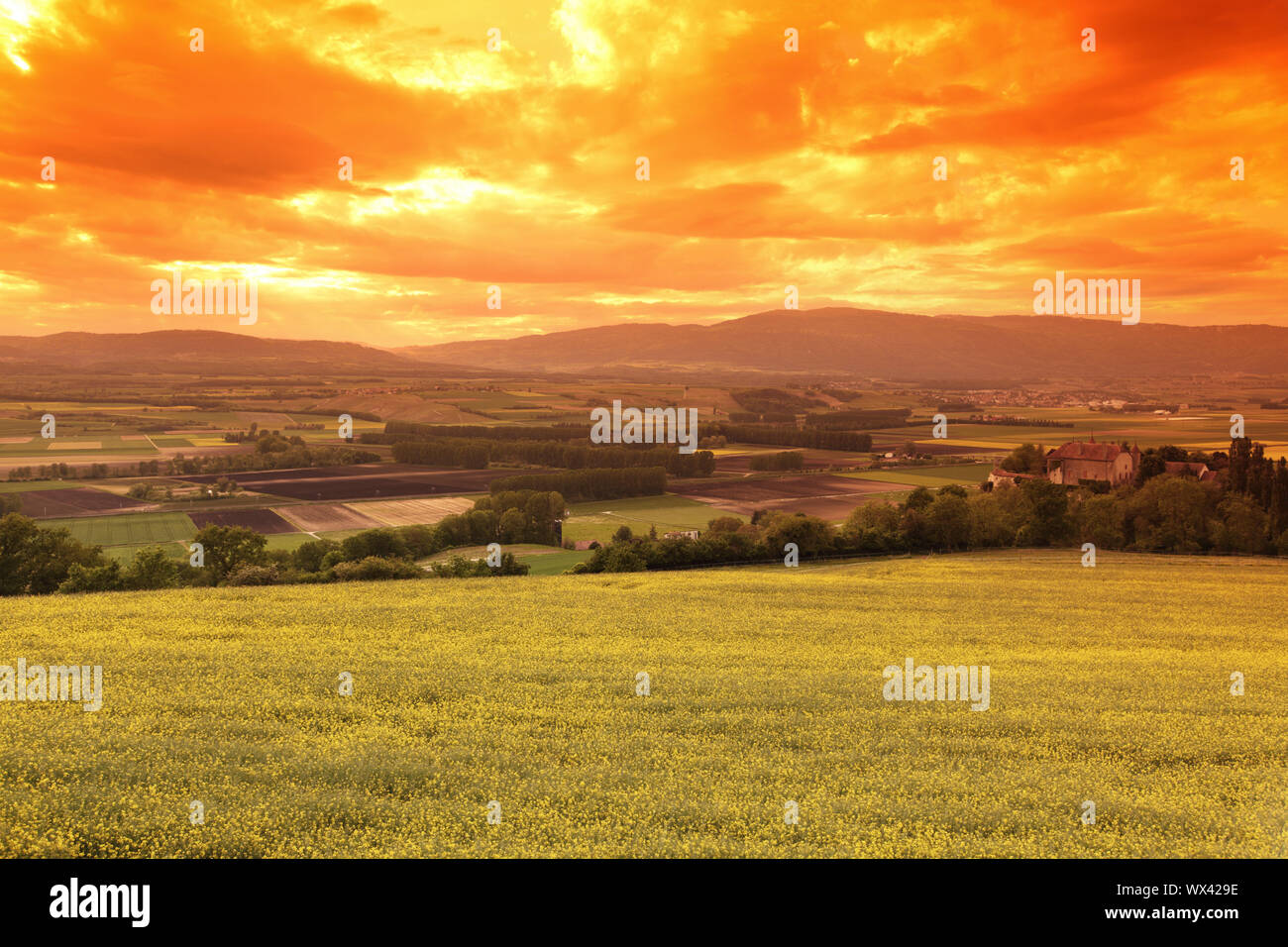 Green meadow under sunset sky with clouds Stock Photo - Alamy