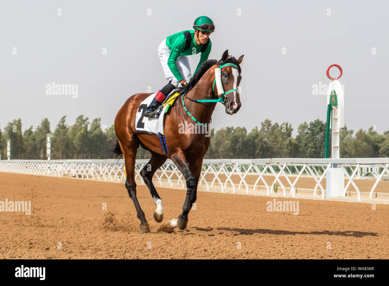 Horse Racing at King Khalid Racetrack, Taif, Saudi Arabia 28/06/2019 ...