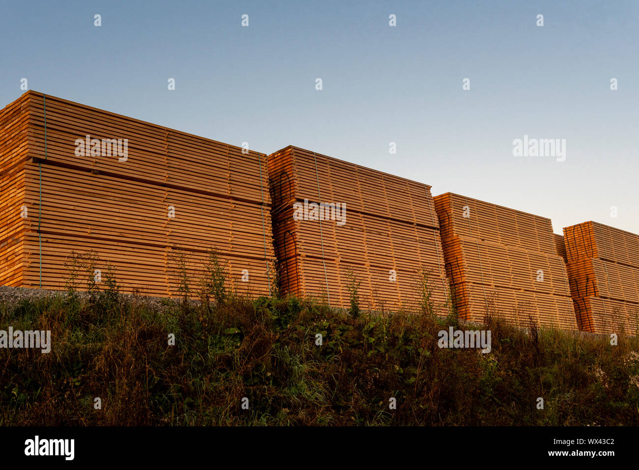 Wood storage outside in nature. Large quantity of lumber planks stacked ...