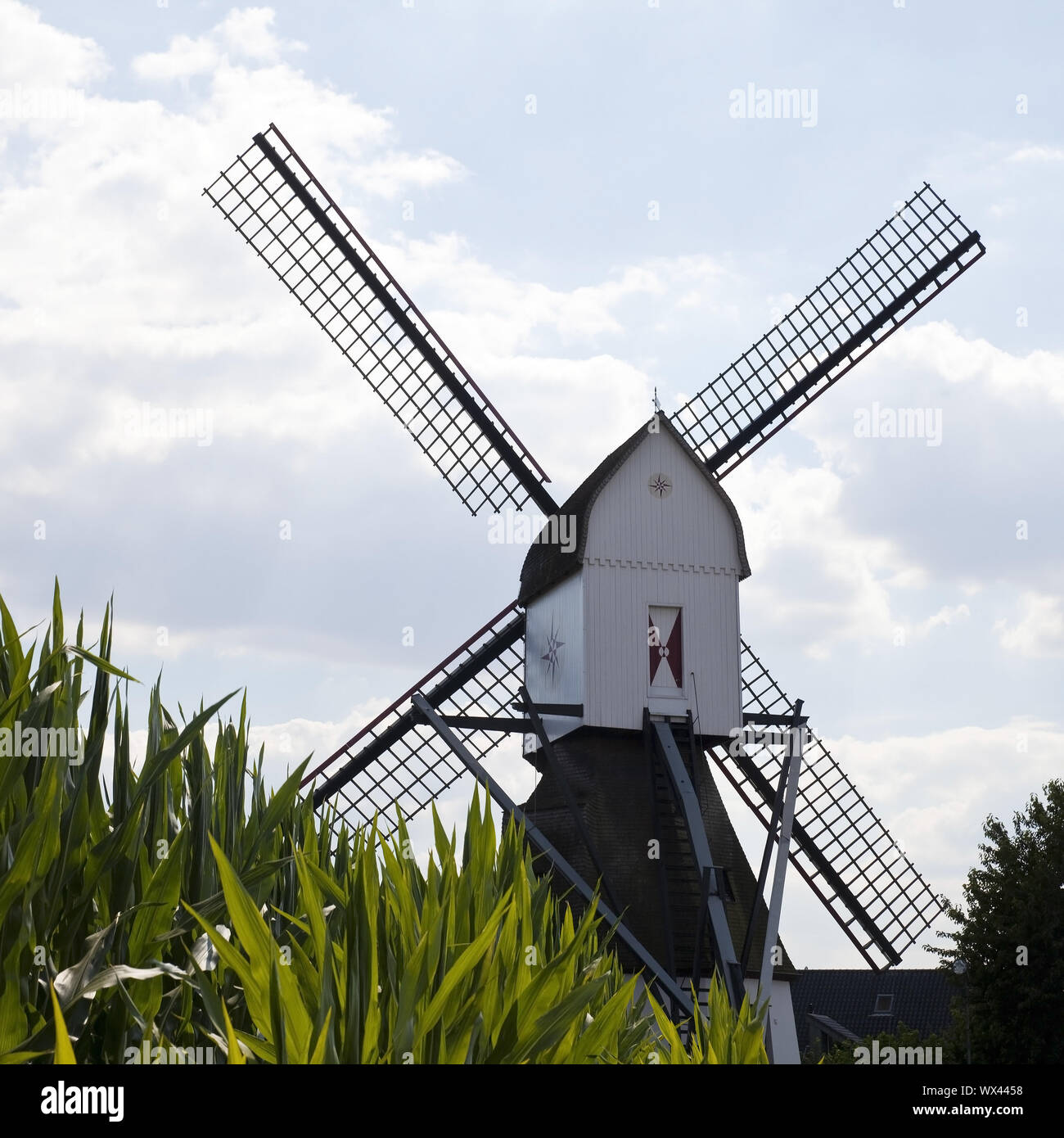 Walbeck hi-res stock photography and images - Alamy