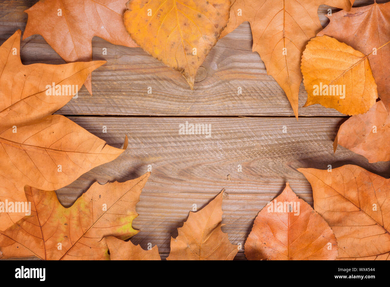 Autumn Leaves over wooden background.With copy space Stock Photo - Alamy