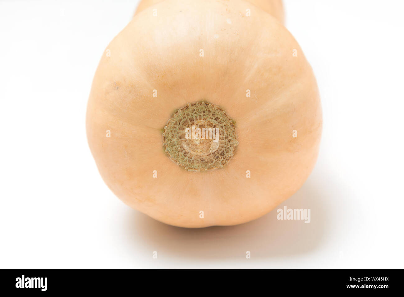 Close up bottom of a yellow pumpkin on a white background Stock Photo ...