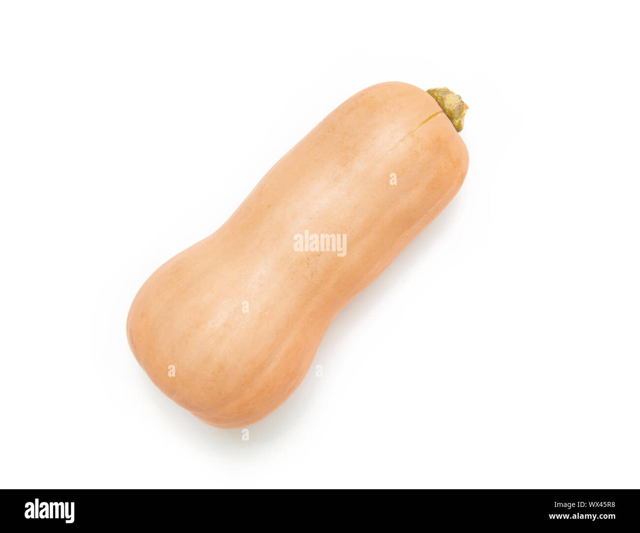One yellow long pumpkin on a white background Stock Photo - Alamy