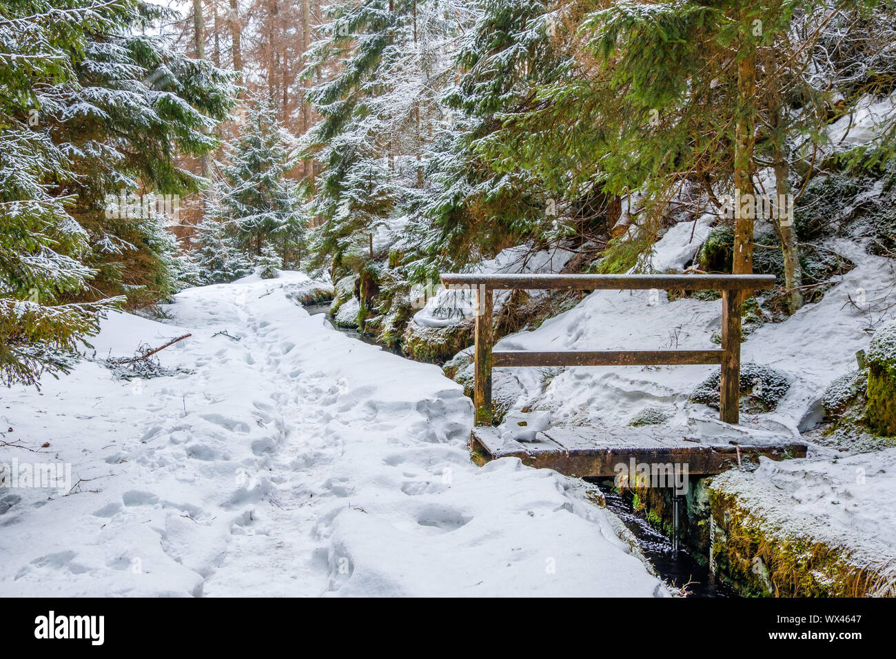 Harz National Park in Winter Oderteich Stock Photo - Alamy