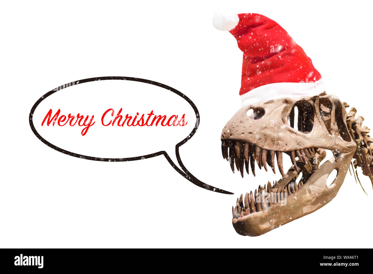 Tyra animal hi-res stock photography and images - Alamy