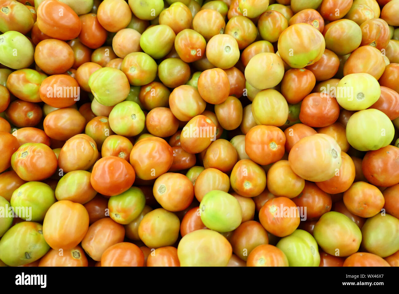 Fresh tomato background Stock Photo - Alamy