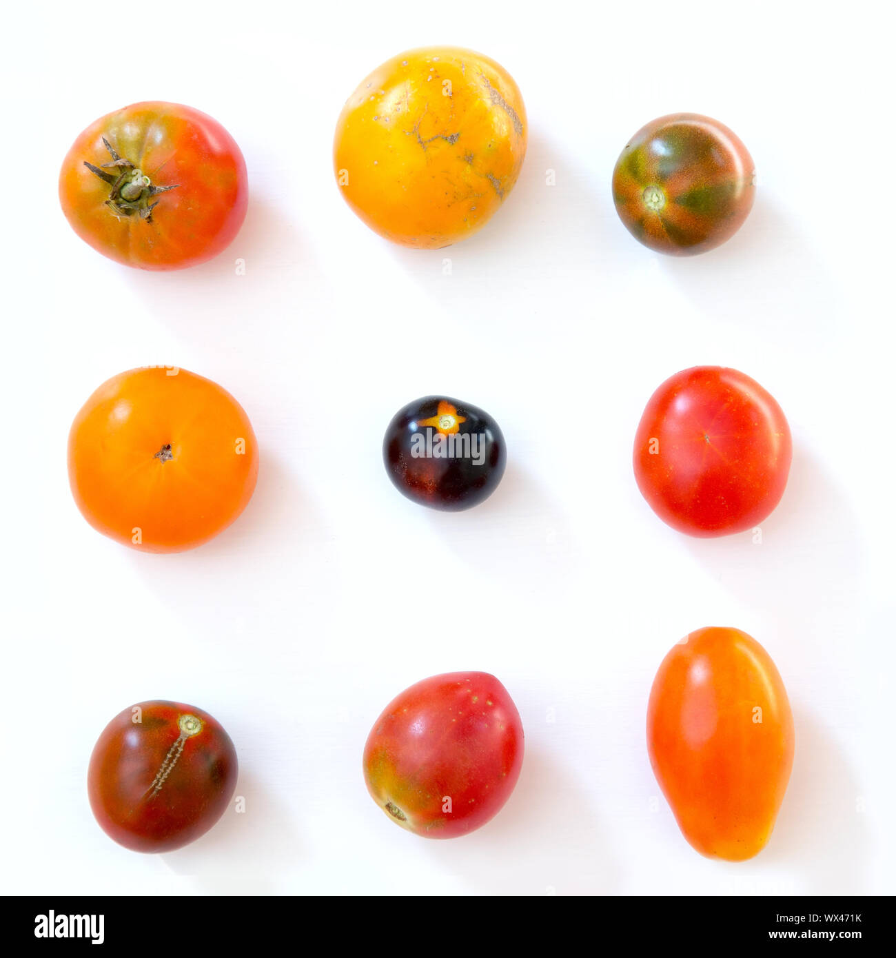 Nine multicolored tomatoes in the form of a square on a white ...