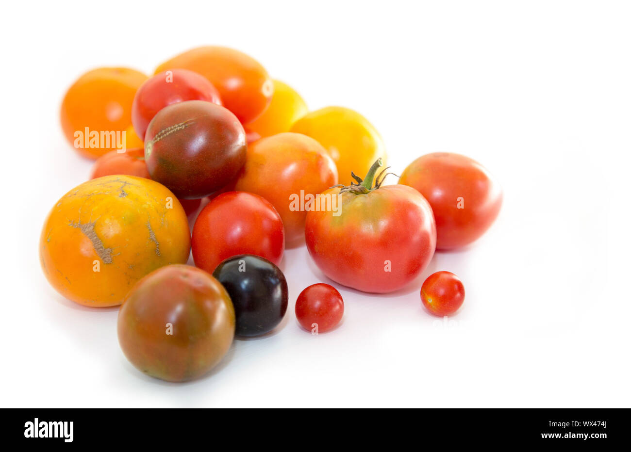Natural fresh farm multi-colored tomatoes on a white background Stock ...