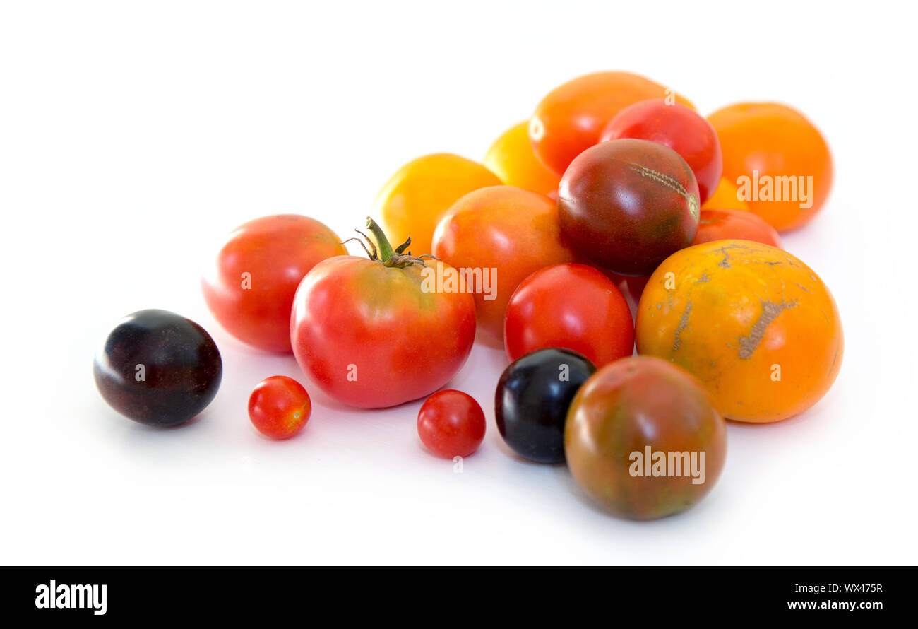 Natural fresh farm multi-colored tomatoes on a white background Stock ...