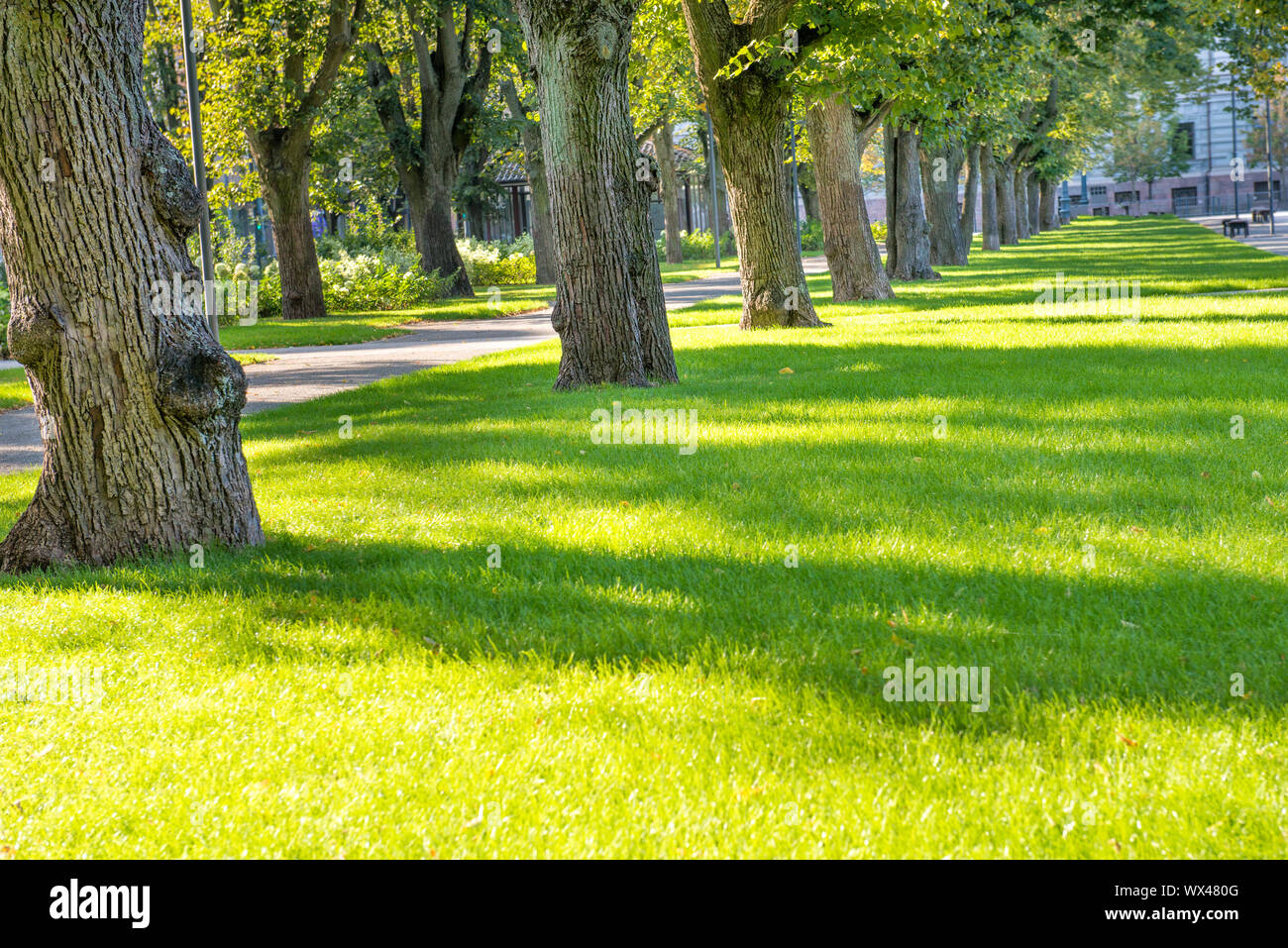 Sunny picnic hi-res stock photography and images - Alamy