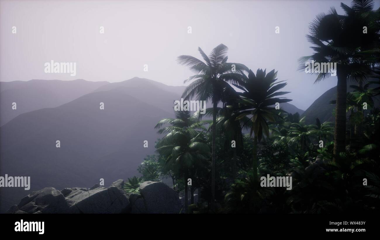 4k Mountain, field landscape with Palm trees. Jungle. Aerial view Stock ...