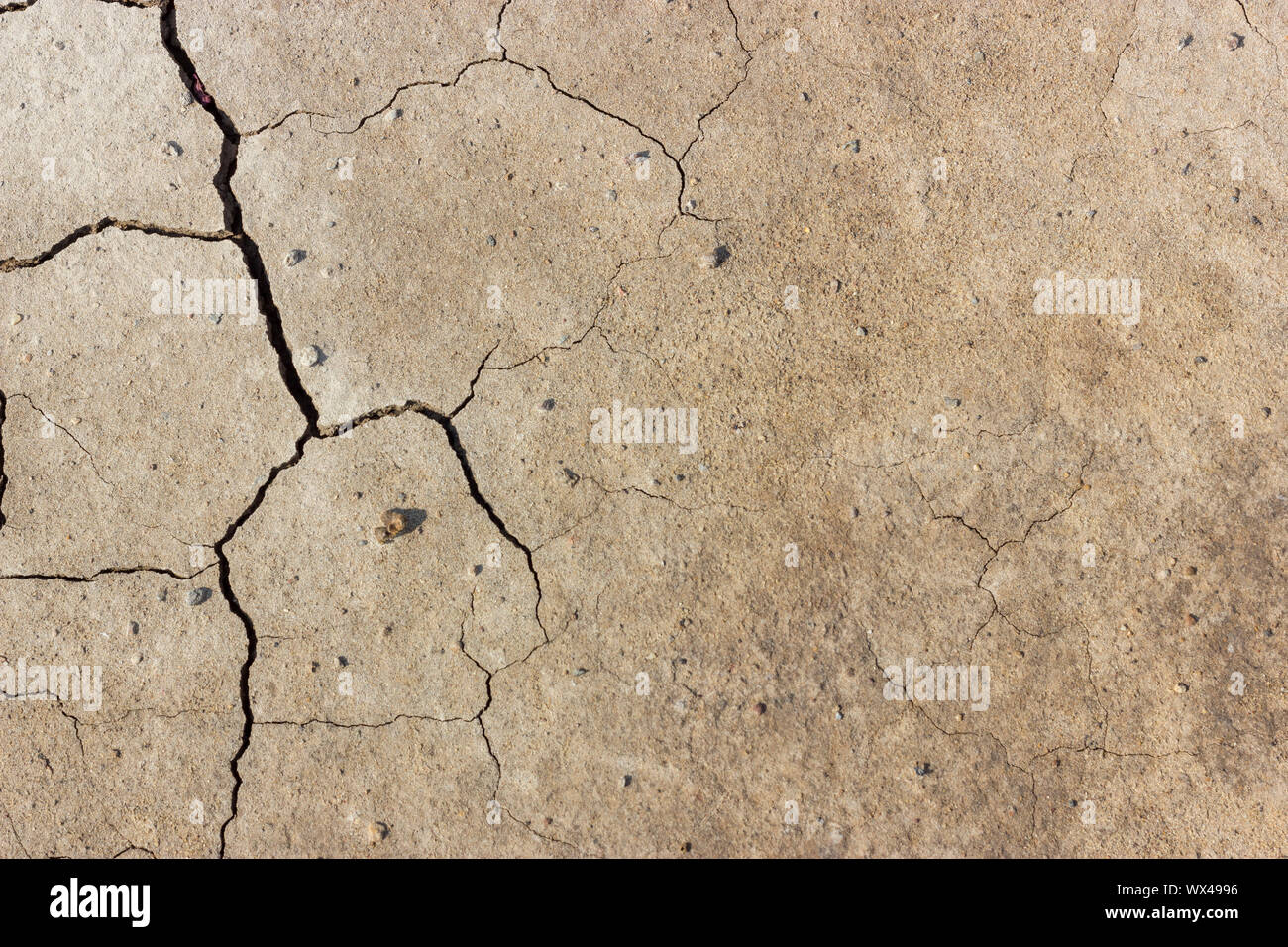 Cracked Dirt Background