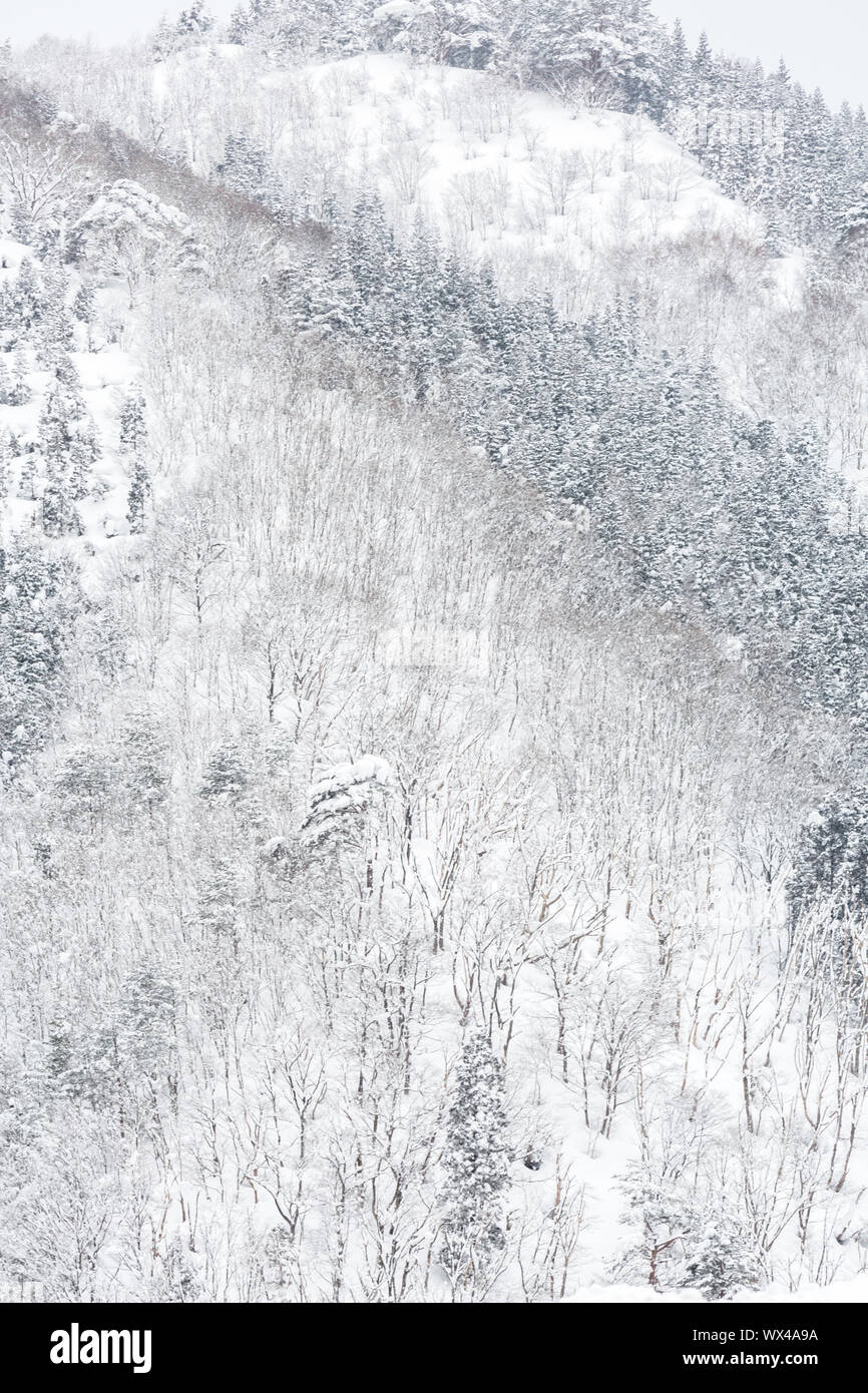 Chubu winter hi-res stock photography and images - Alamy