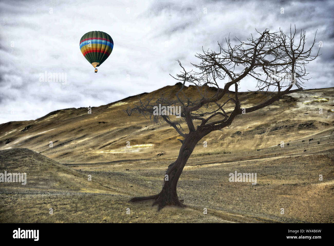 Composing: Tree and balloon Stock Photo - Alamy