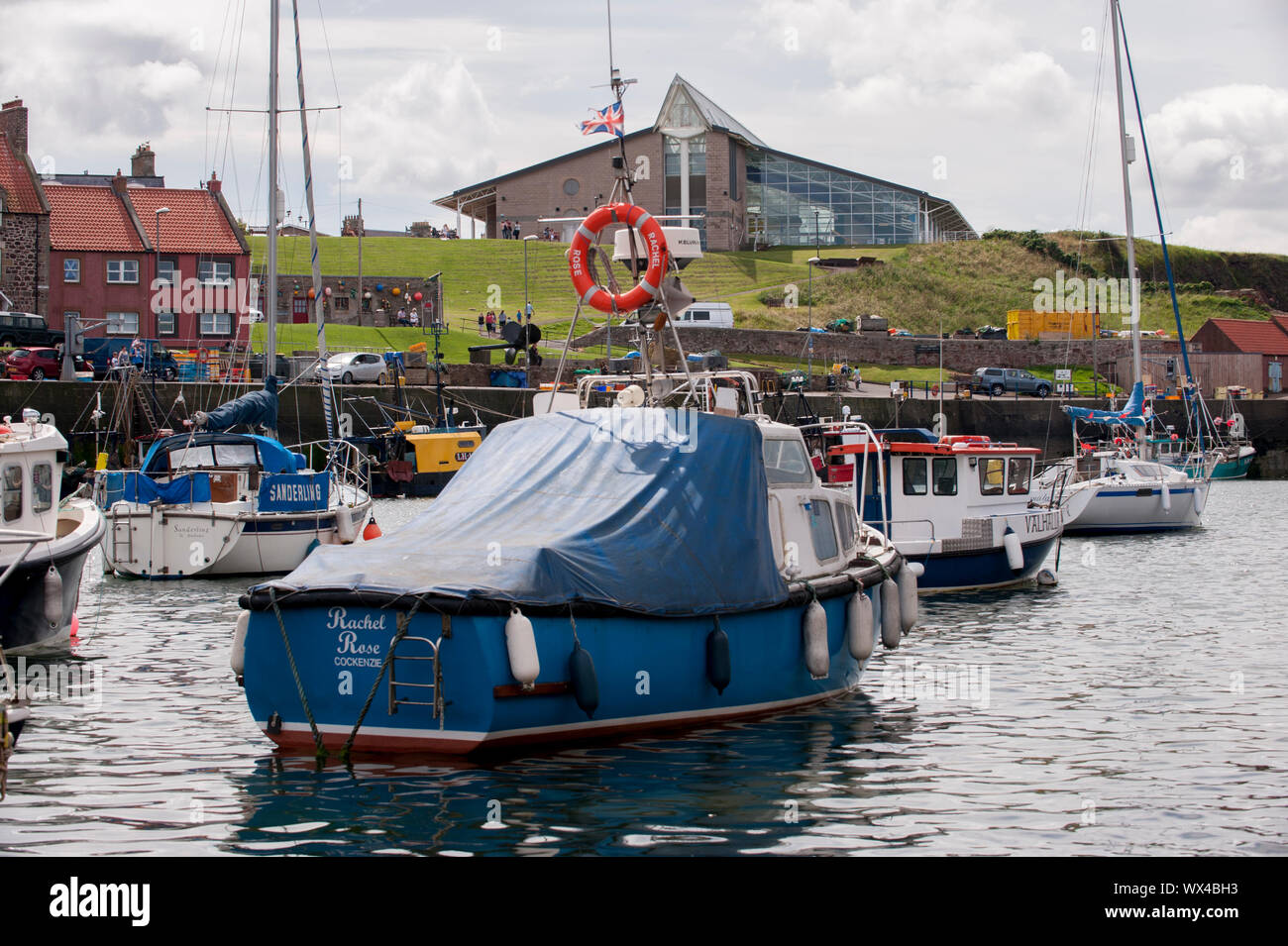 Tide pool sculpture hi-res stock photography and images - Alamy
