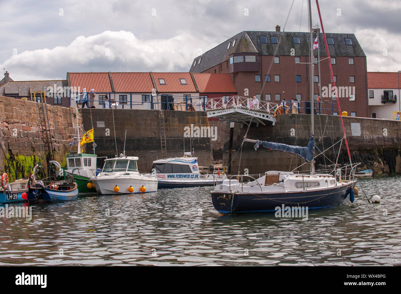 Tide pool sculpture hi-res stock photography and images - Alamy