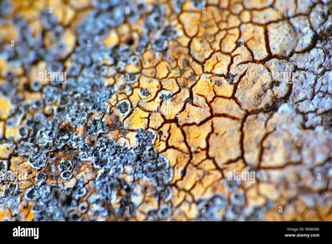 dry cracked earth. The desert Stock Photo - Alamy