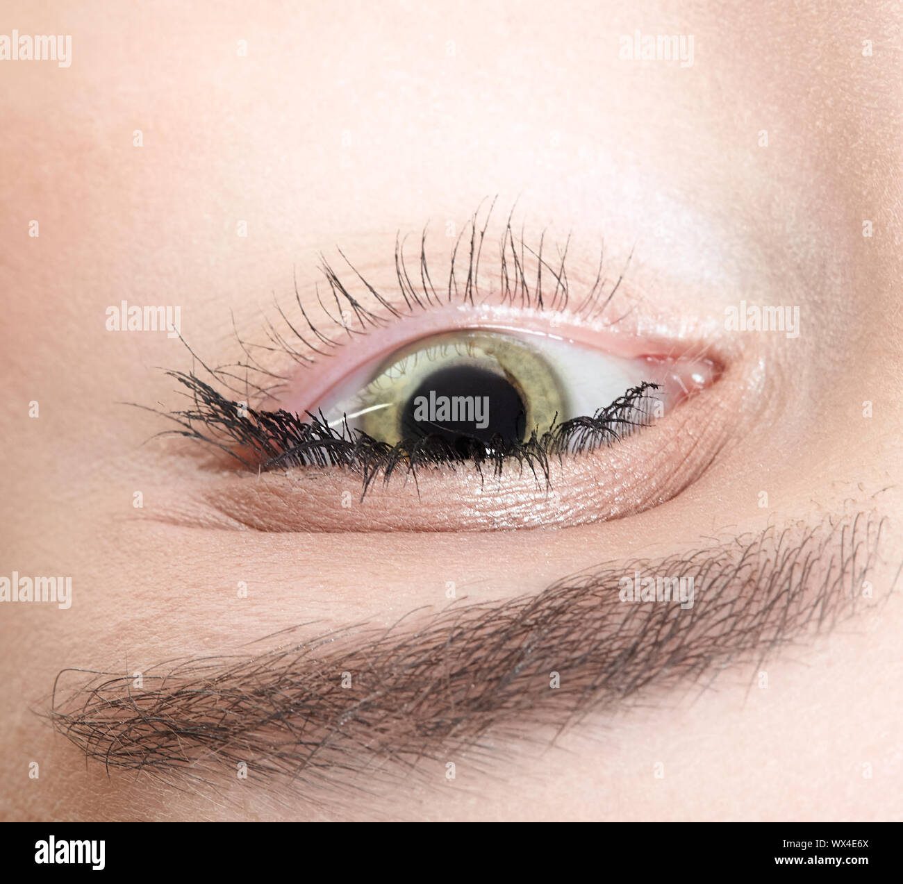Female eye zone and brows with day makeup Stock Photo - Alamy