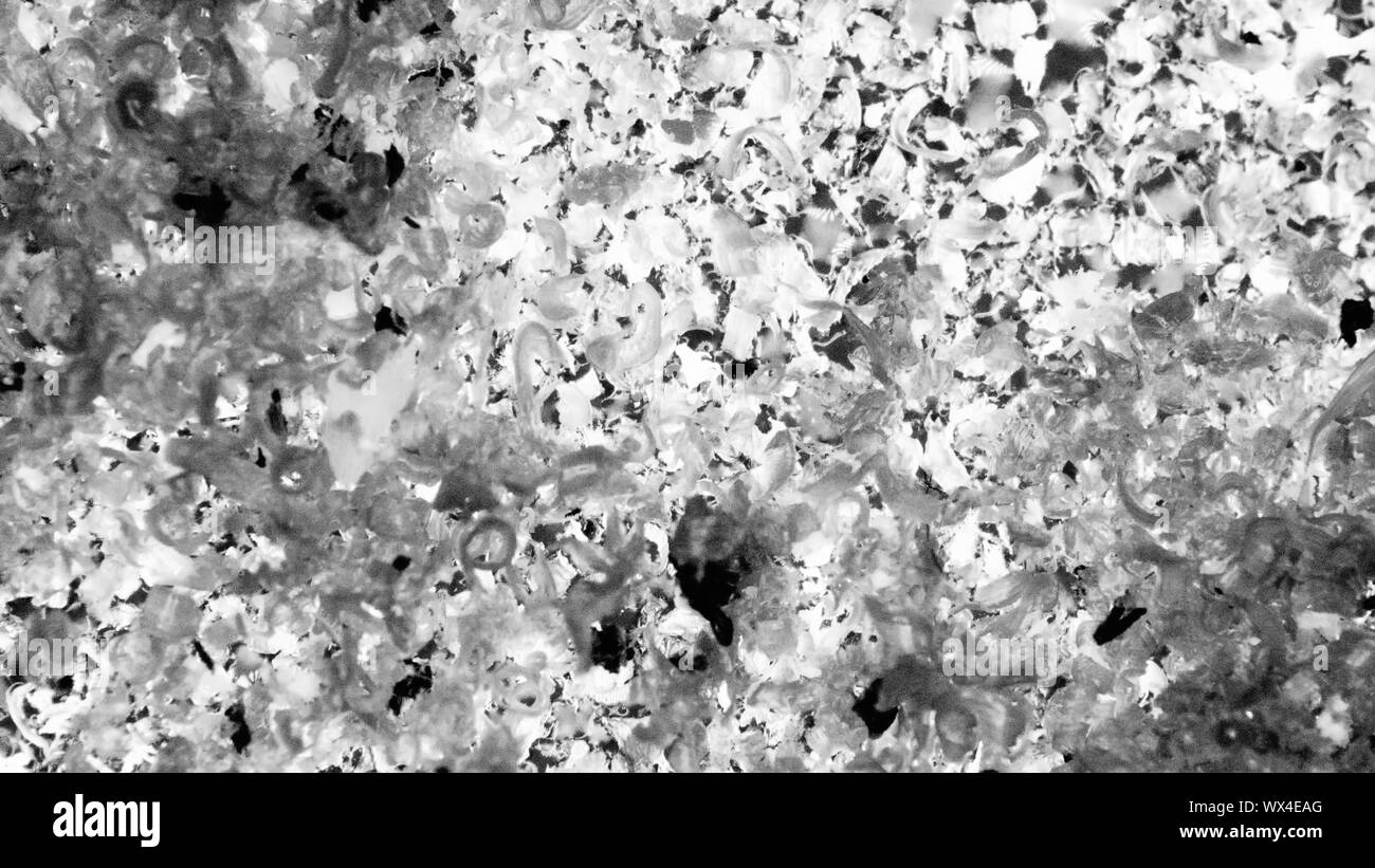 Microparticles of plastic in aquatic environment. Macro shooting of ...