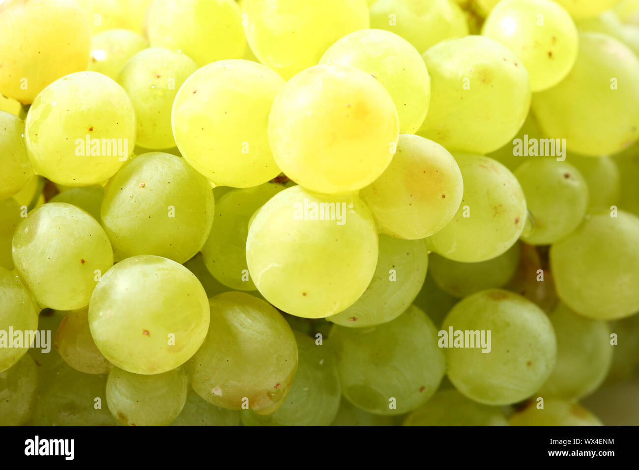 green grape isolated on white background Stock Photo - Alamy