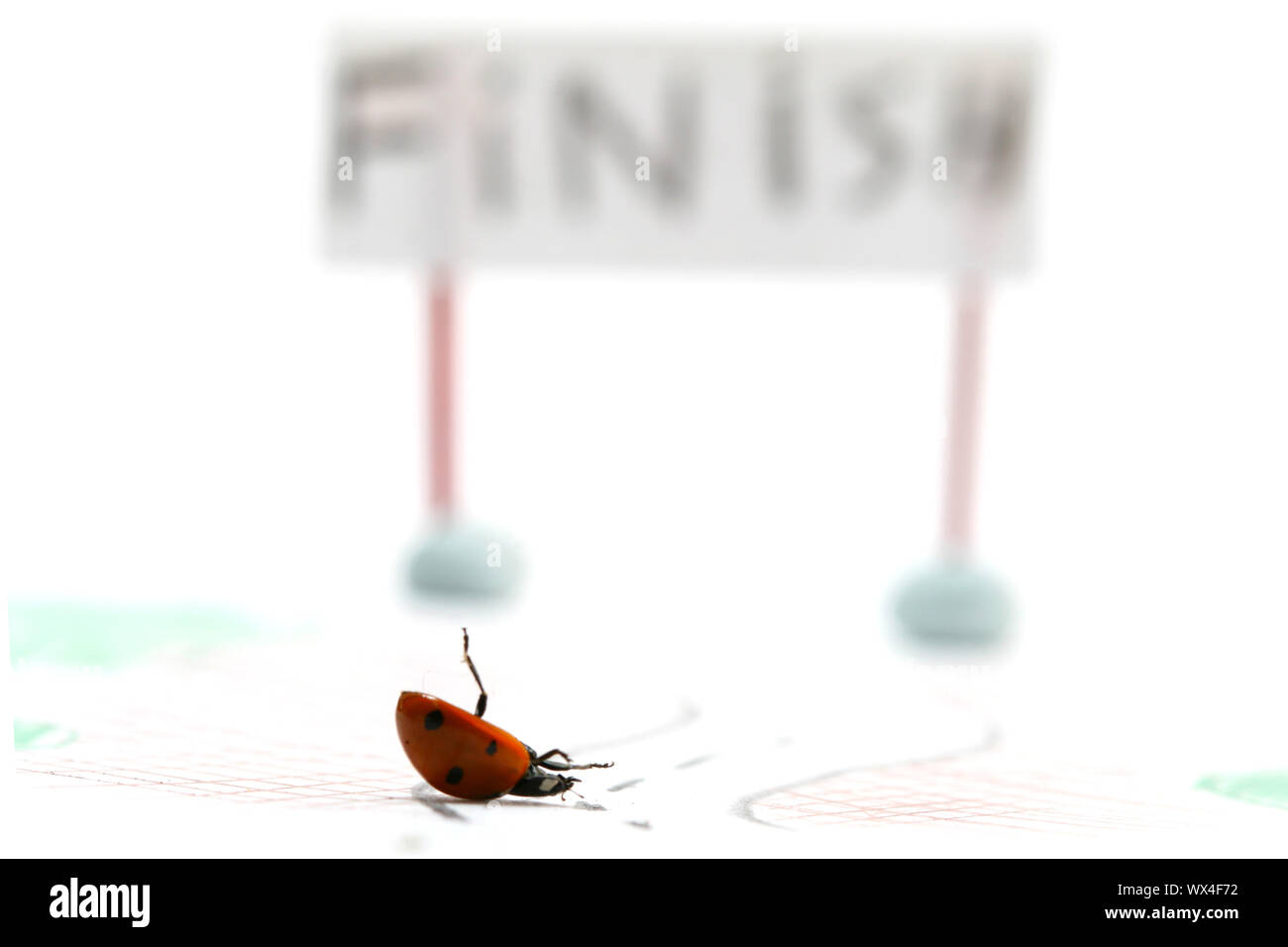 Color run finish Cut Out Stock Images & Pictures - Alamy