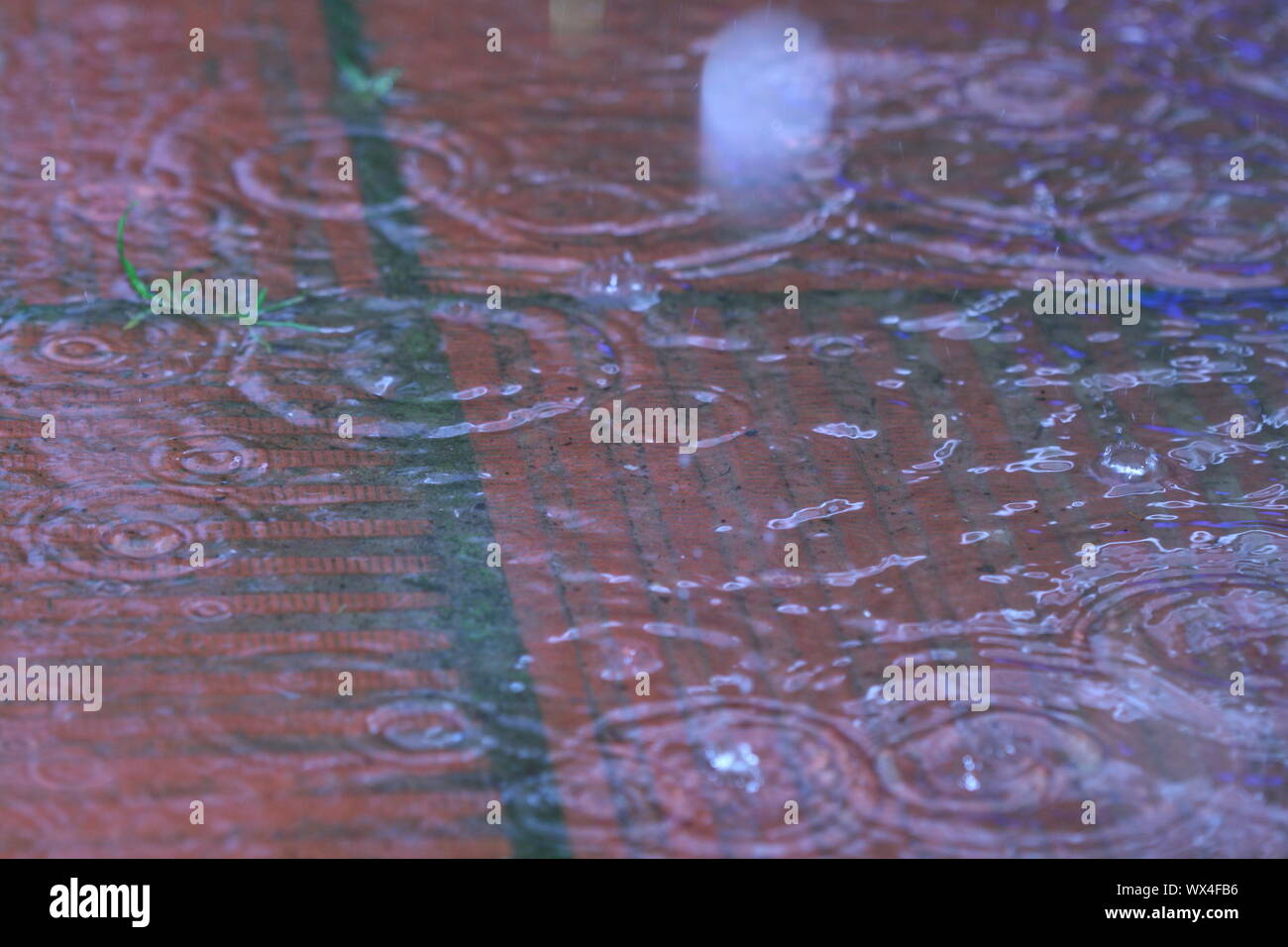 outdoor rain water fall from sky Stock Photo - Alamy